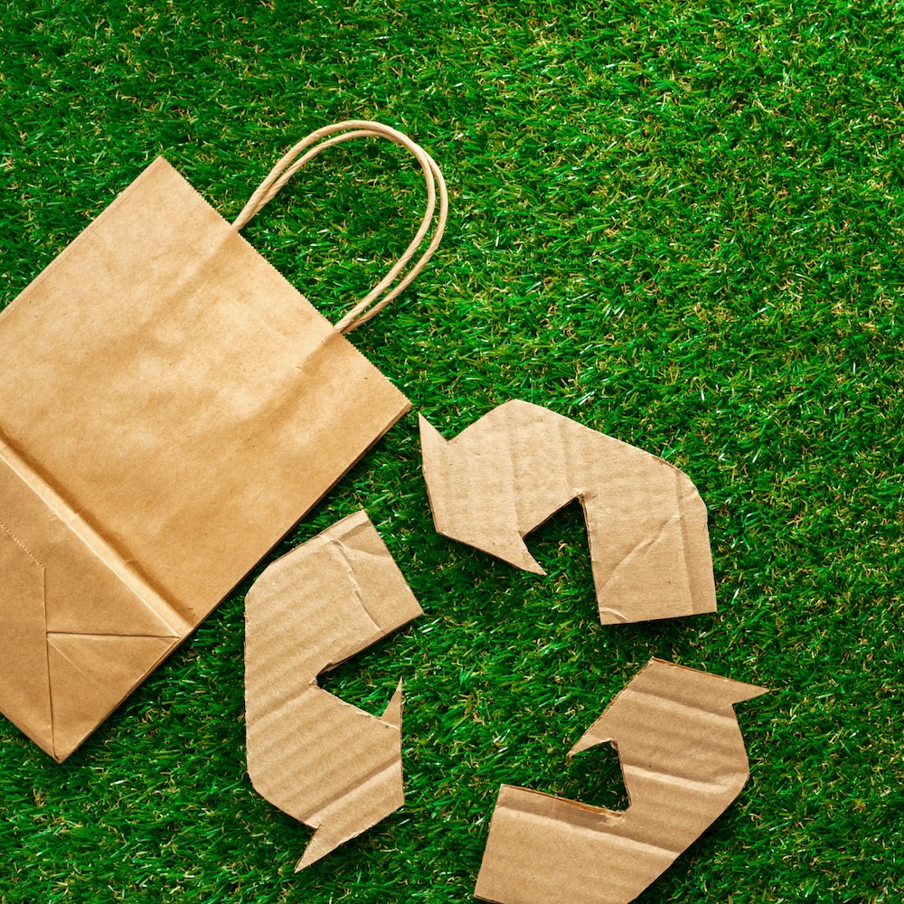 What are Truly Eco-Friendly Carrier Bags?
